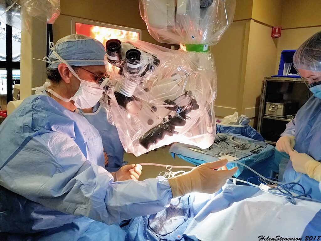 Curriculum | Christiana Care Delaware Otologic Medicine and Surgery ...